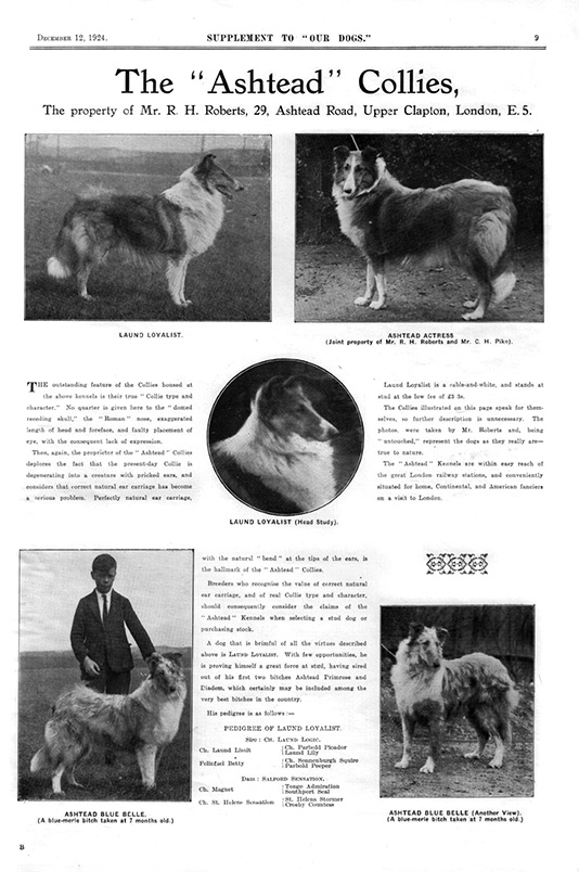 What else is called Ashtead?